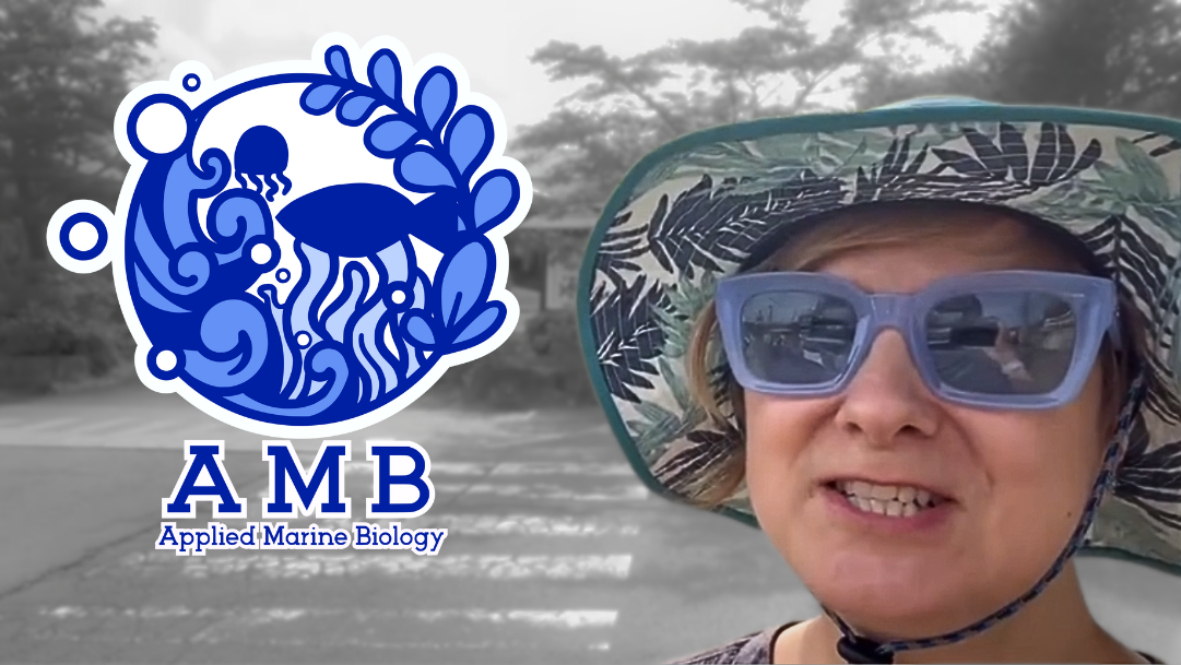 Applied Marine Biology in japans tohoku region with Cheryl L. Ames